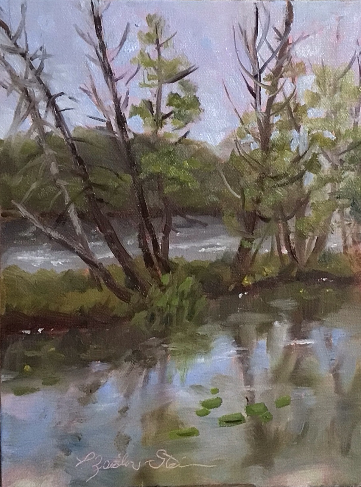 2024 Year in Review – Lynn Steiner – Artist
